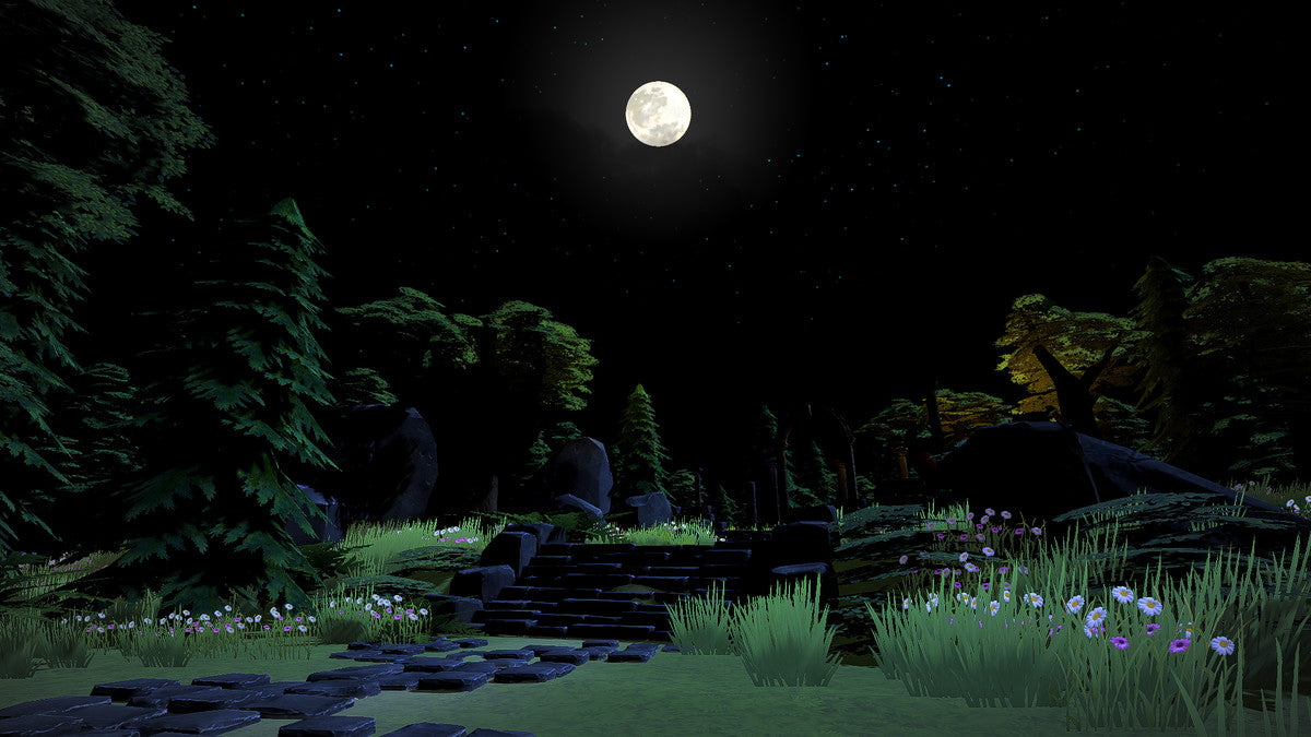 Skybox Plus – Kronnect Store